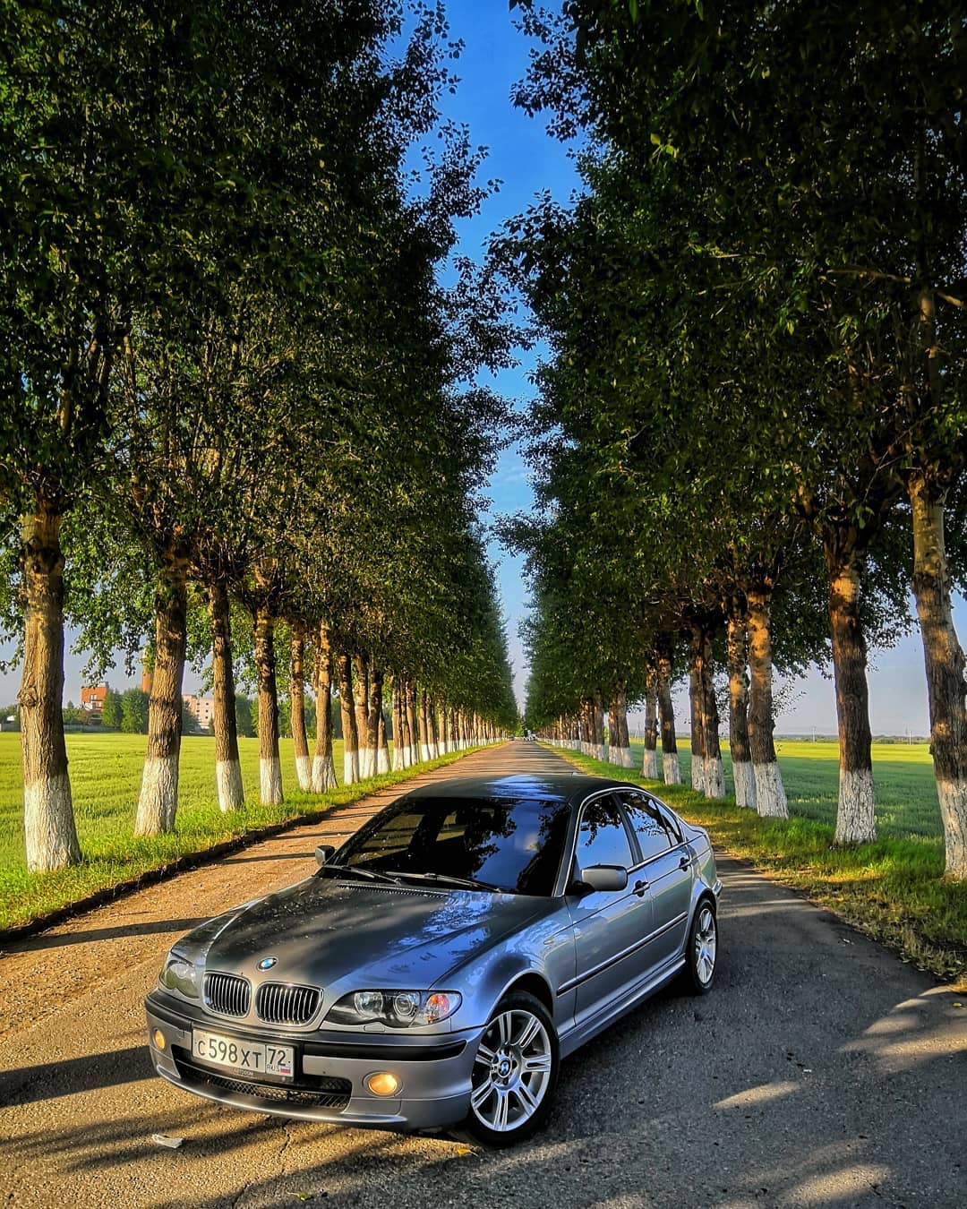 BMW wheel style 194 | Bmwoemwheels.com